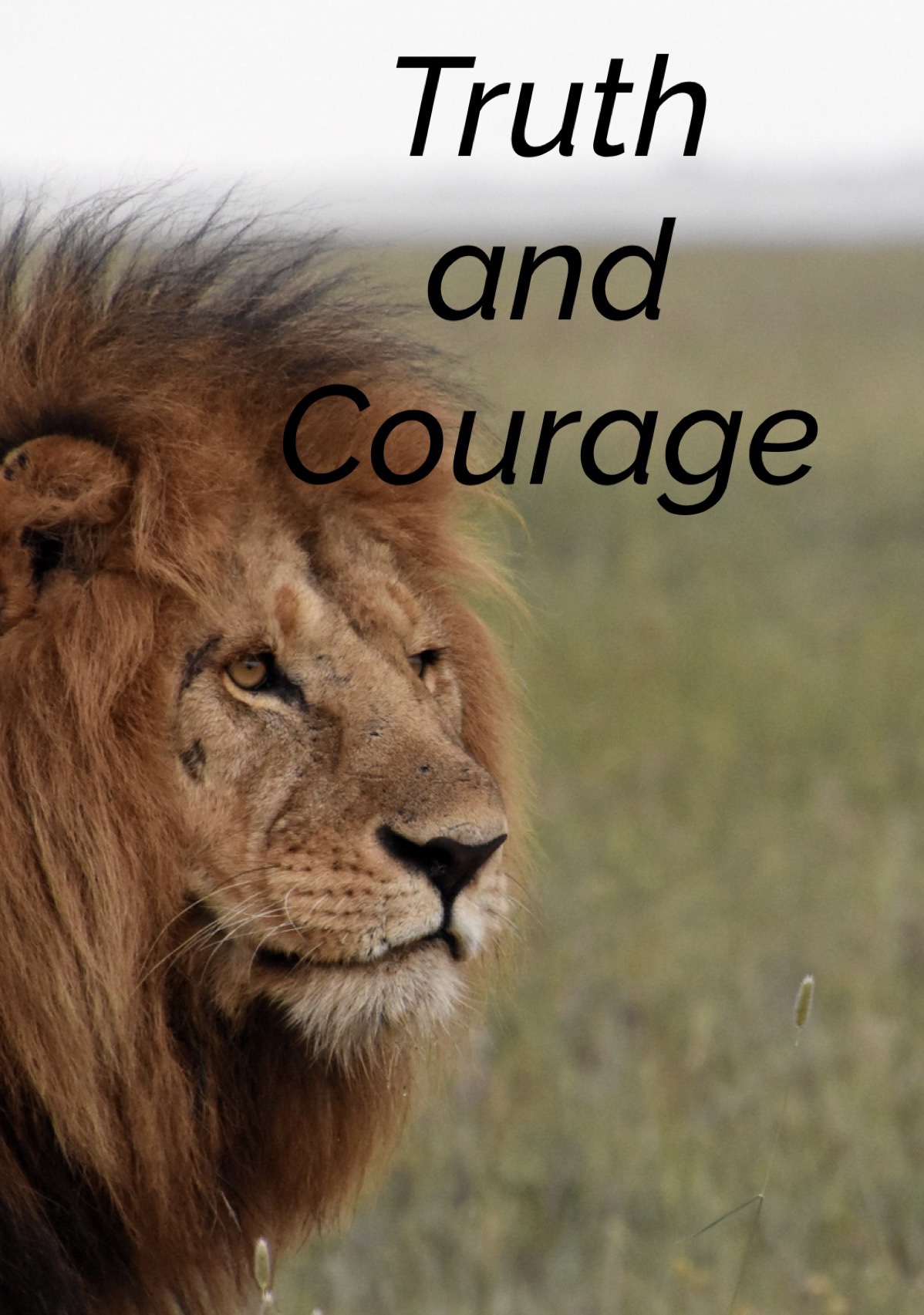 TRUTH AND COURAGE – stones from the quarry